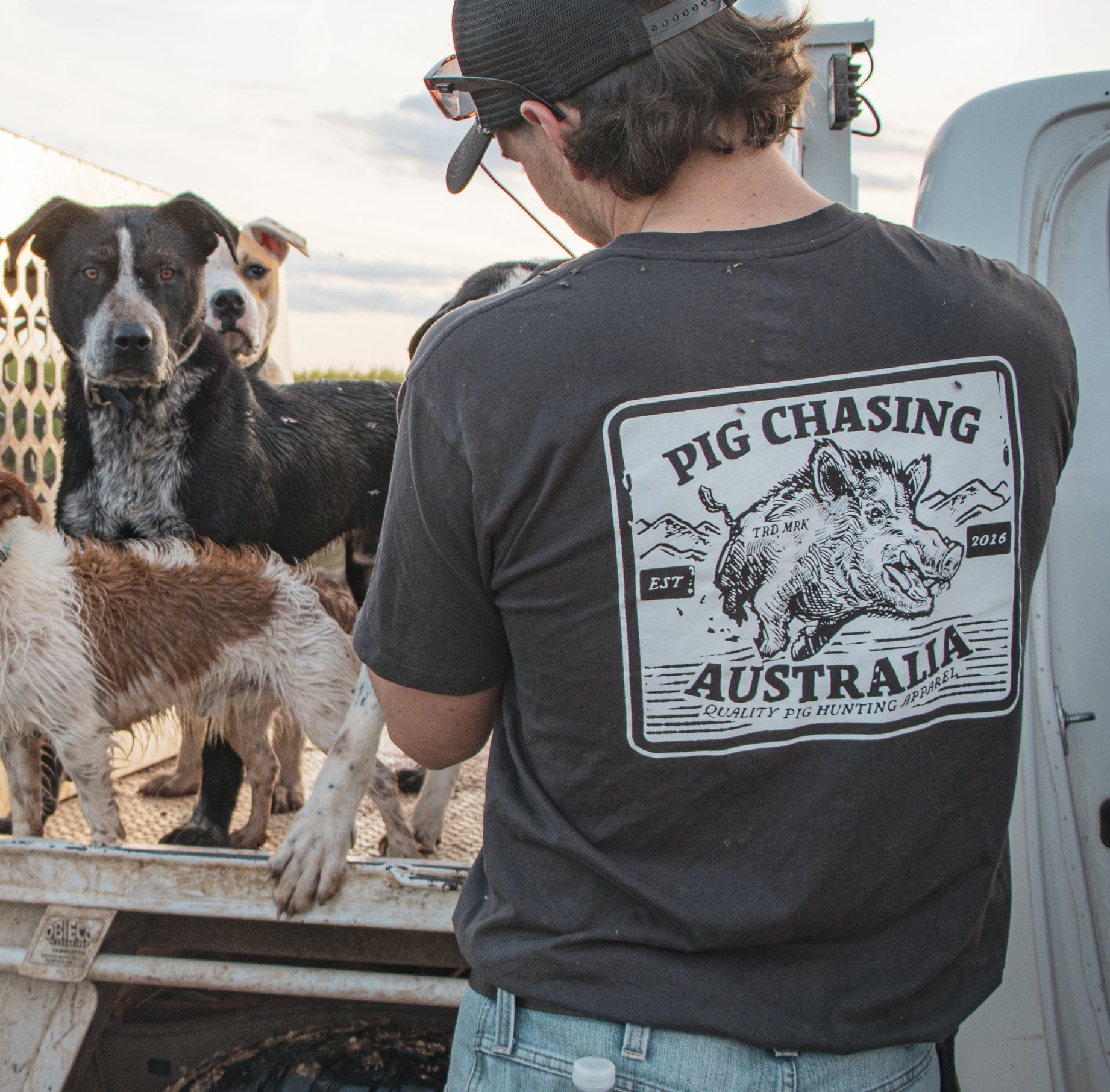 Pig Chasing Australia