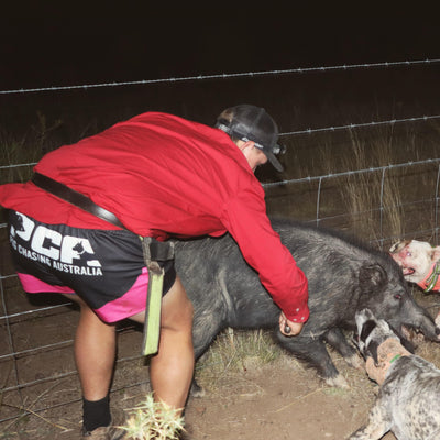 Collections – Pig Chasing Australia