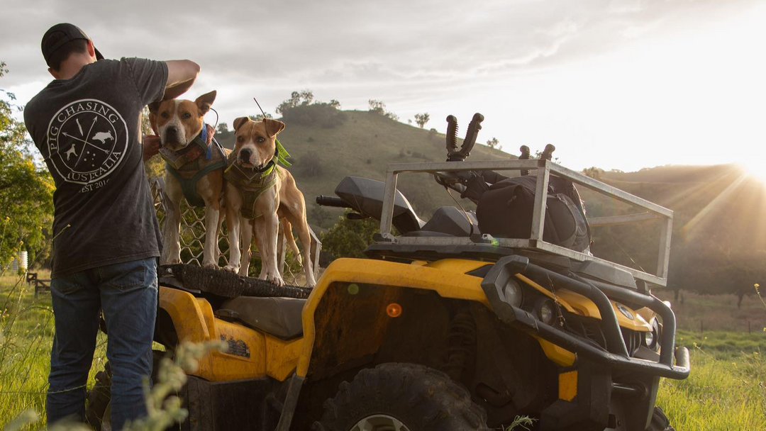 ABOUT US – Pig Chasing Australia