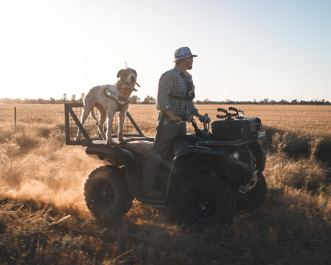 ABOUT US – Pig Chasing Australia