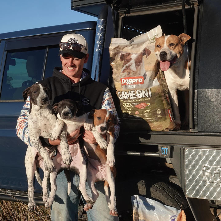 SPONSORS + PARTNERS – Pig Chasing Australia