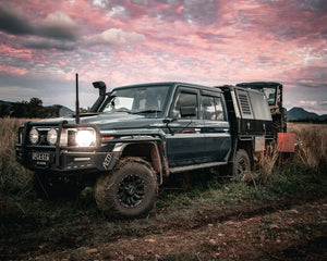 Pig Chasing Australia