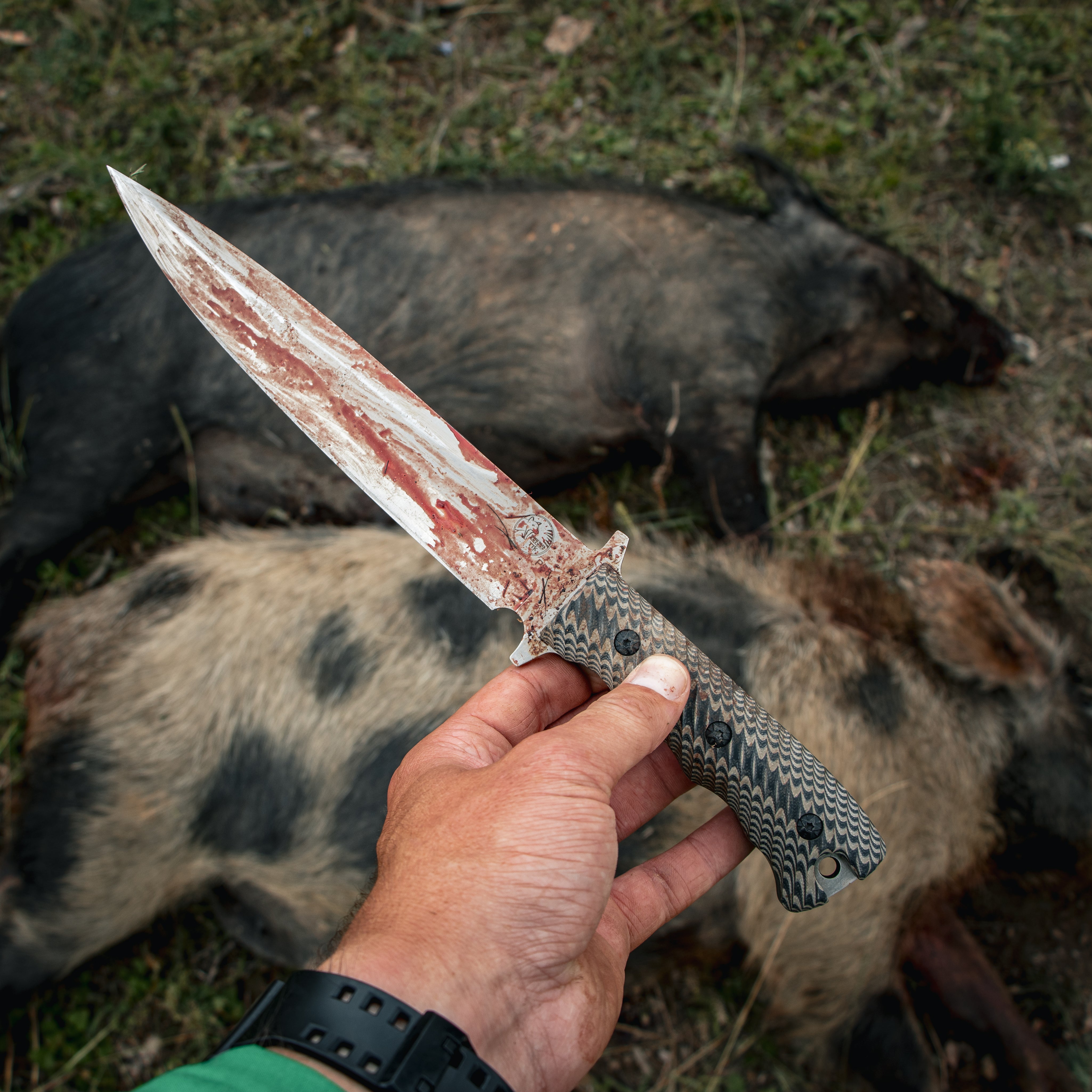 Tassie Tiger Pig Sticker Knife & Leather Sheath – Pig Chasing Australia