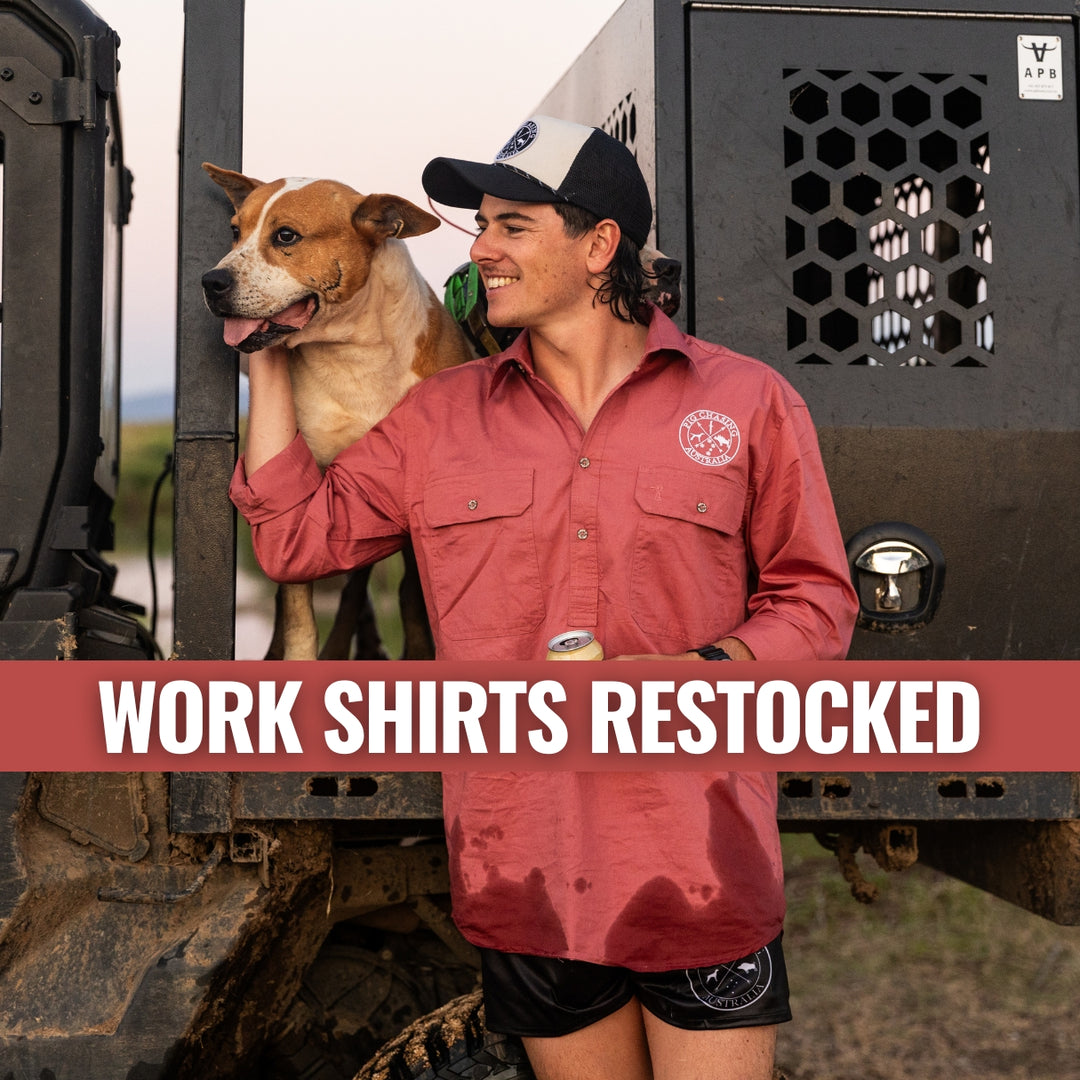 Pig Chasing Australia